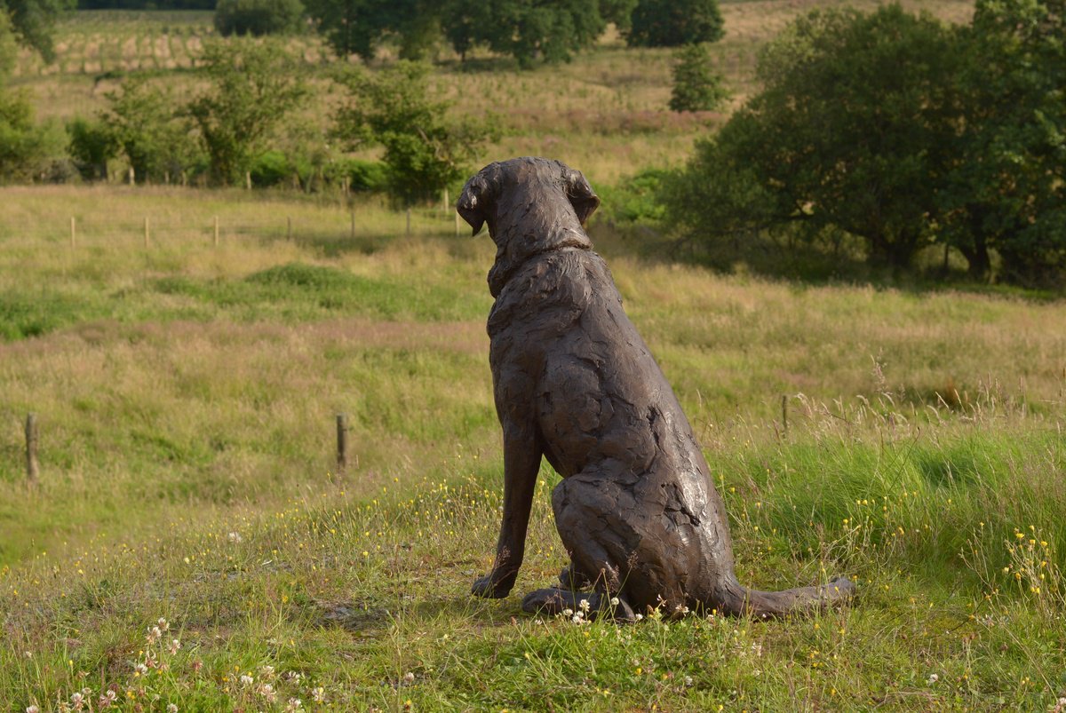 "Harris" Seated Labrador 2 BR Sculpture: Tanya Russell | Artfinder