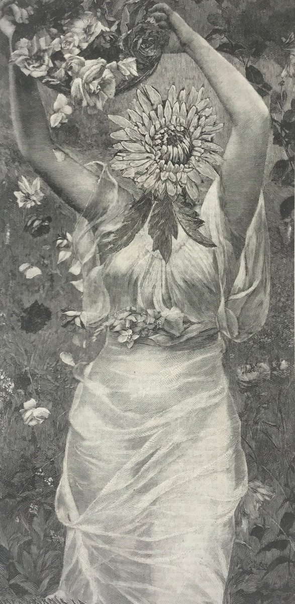 Roman Roses Collage by Tudor Evans | Artfinder