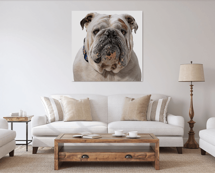 British Bulldog Photograph: Gandee Vasan | Artfinder