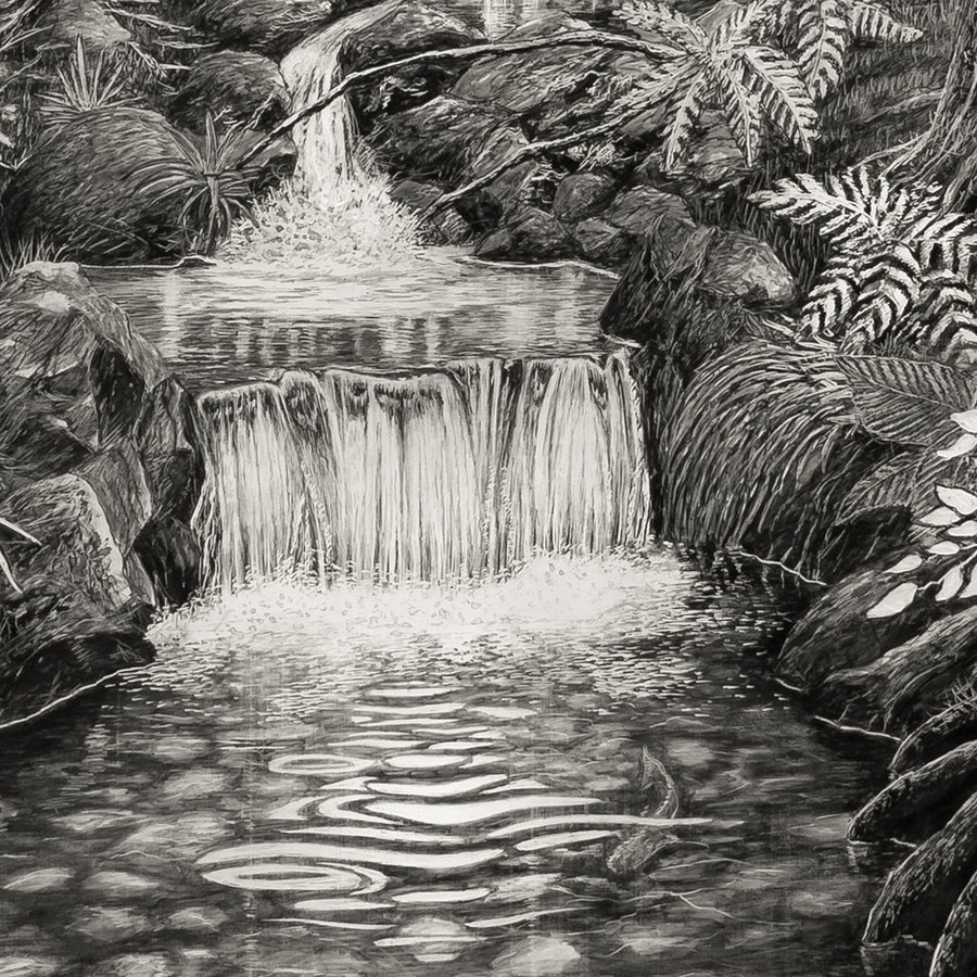 Forest Murmurs Ink drawing by Graham McKenzie-Smith | Artfinder