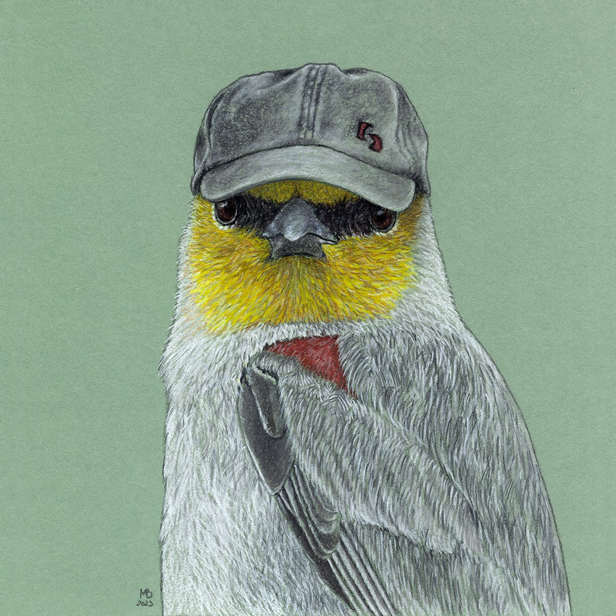 Verdin Pastel drawing by Mikhail Vedernikov | Artfinder