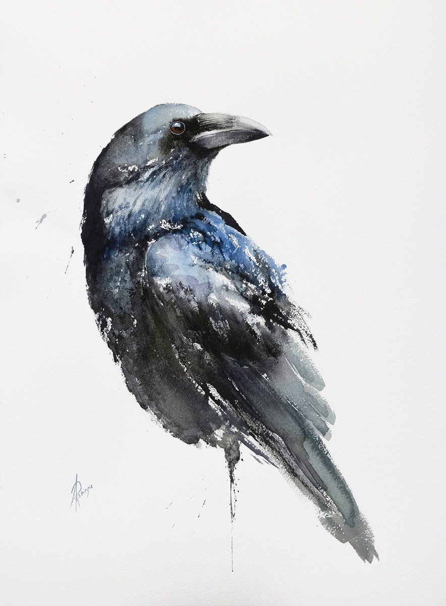 Raven 2 Watercolour by Andrzej Rabiega | Artfinder