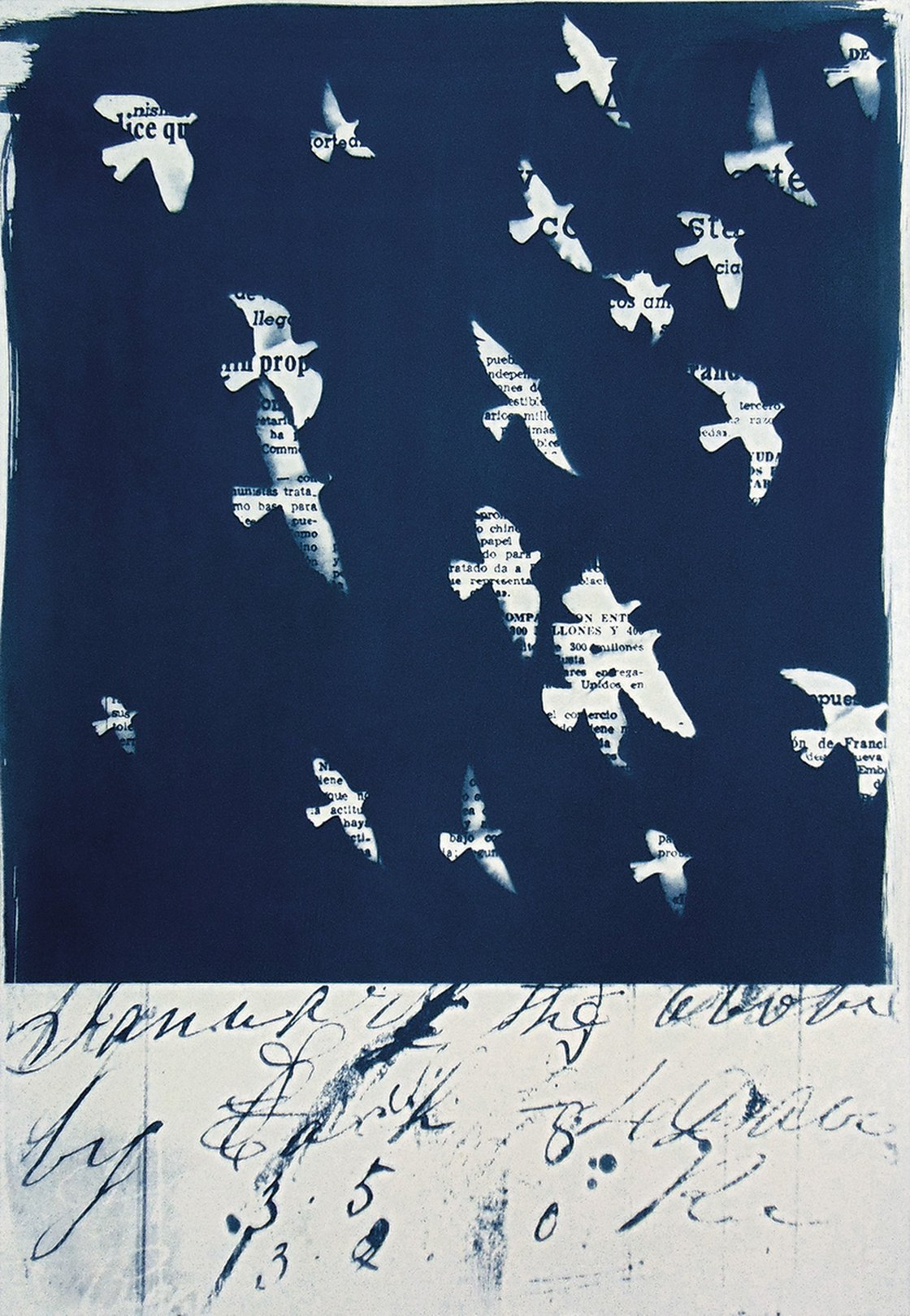 Cyanotype 02 Birds Print: Manel Villalonga | Artfinder