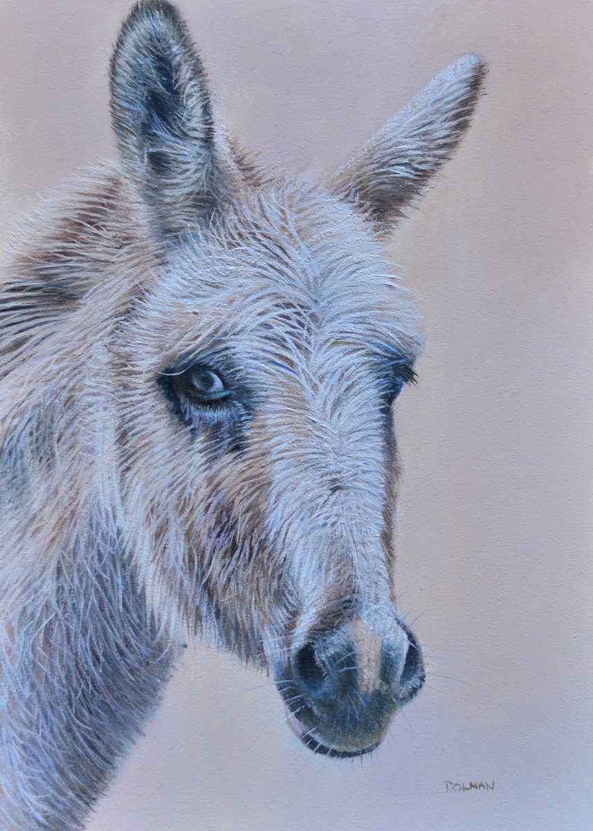 Derek Oil painting: Sam Dolman | Artfinder