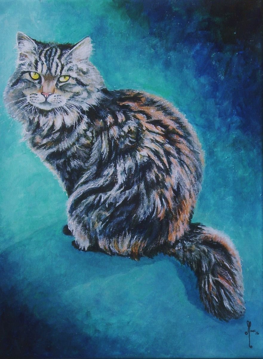 Perry - Cat on a Manx Farm Acrylic painting: Max Aitken | Artfinder