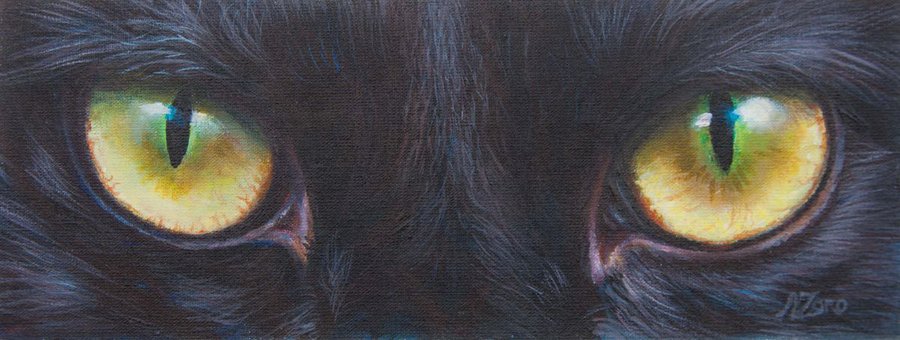 Black cat eyes Acrylic painting by Norma Beatriz Zaro | Artfinder