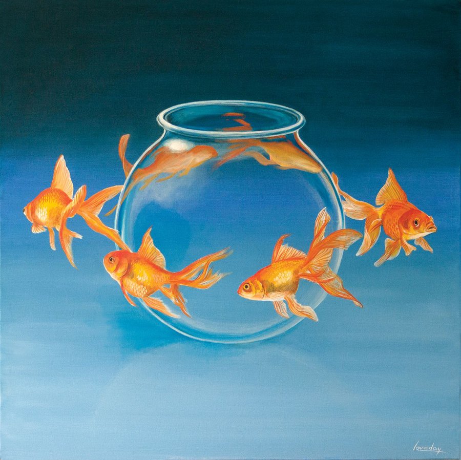 Goldfish II Acrylic painting: Daniel Loveday | Artfinder
