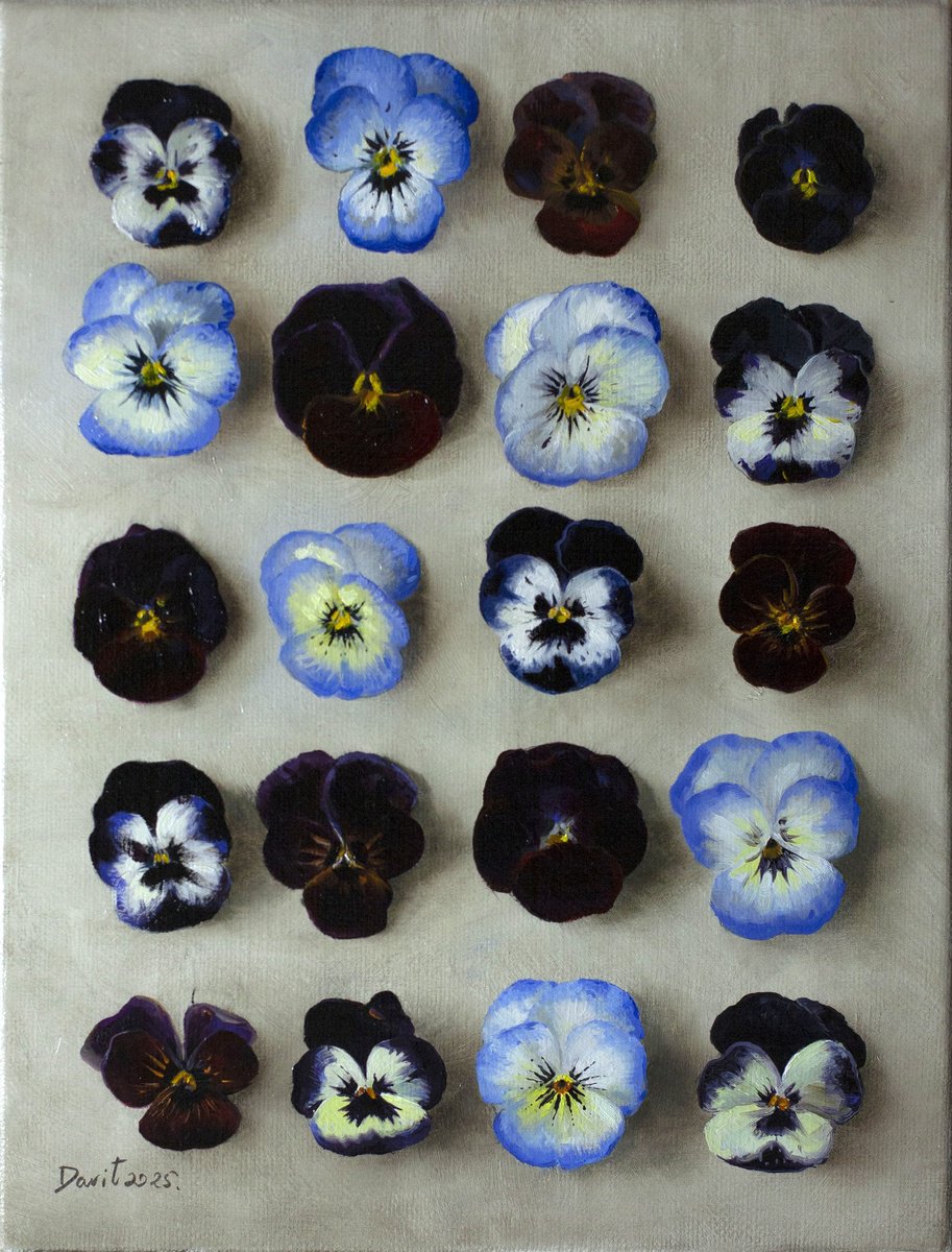 20 Pancies Oil painting: Davit Davtyan | Artfinder