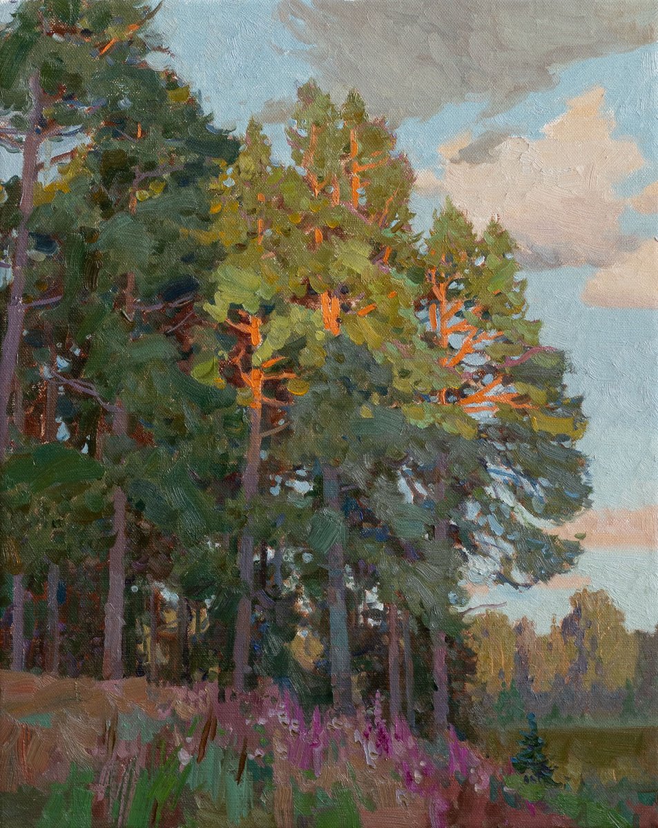 Pine Trees in Evening Light Oil painting: Alexey Pleshkov | Artfinder