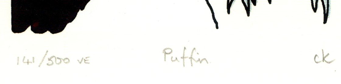 Puffin Screenprint: Carole King | Artfinder