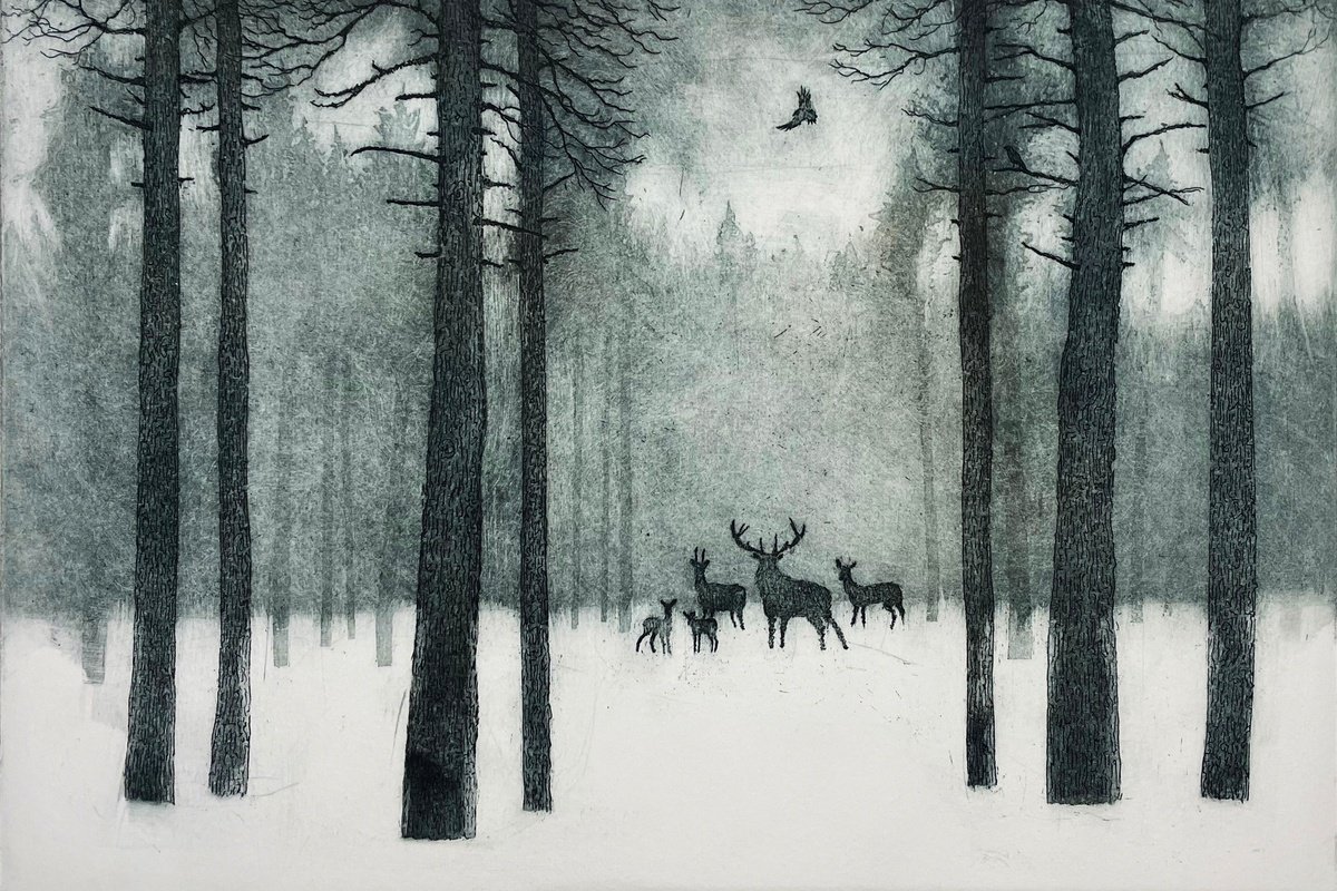 Deer in Winter Etchings & engravings: Tim Southall | Artfinder