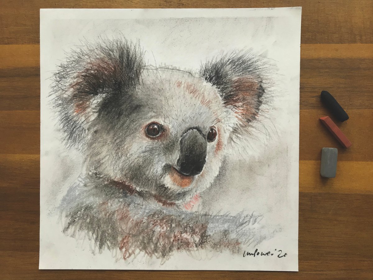 Charcoal Koala #01 Charcoal drawing: Luci Power | Artfinder