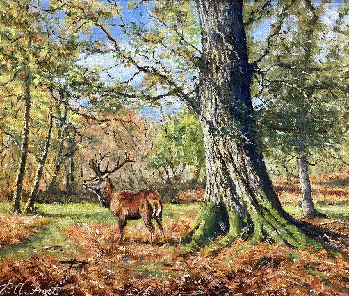 Red Stag and Twisted Oak Oil painting by Peter Frost | Artfinder