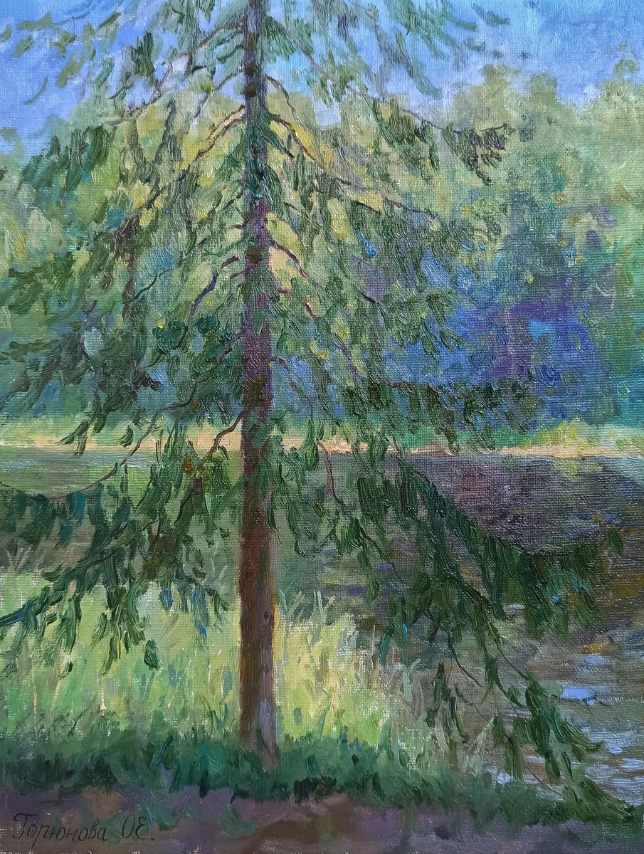 Original Oil Painting - the Spruce in the Morning by Olga Goryunova