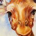Giffy the Giraffe Watercolour by Arti Chauhan | Artfinder