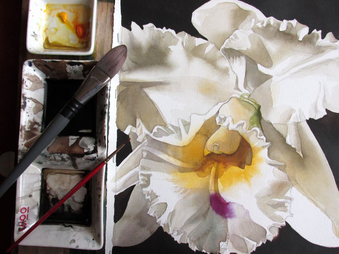 a touch of violet Watercolour: Alfred Ng | Artfinder