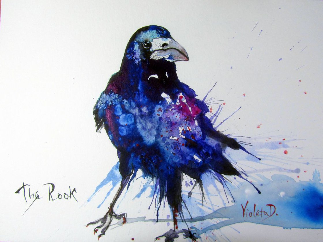 The Rook (Corvus frugilegus) Watercolour by Violeta Damjanovic-Behrendt ...