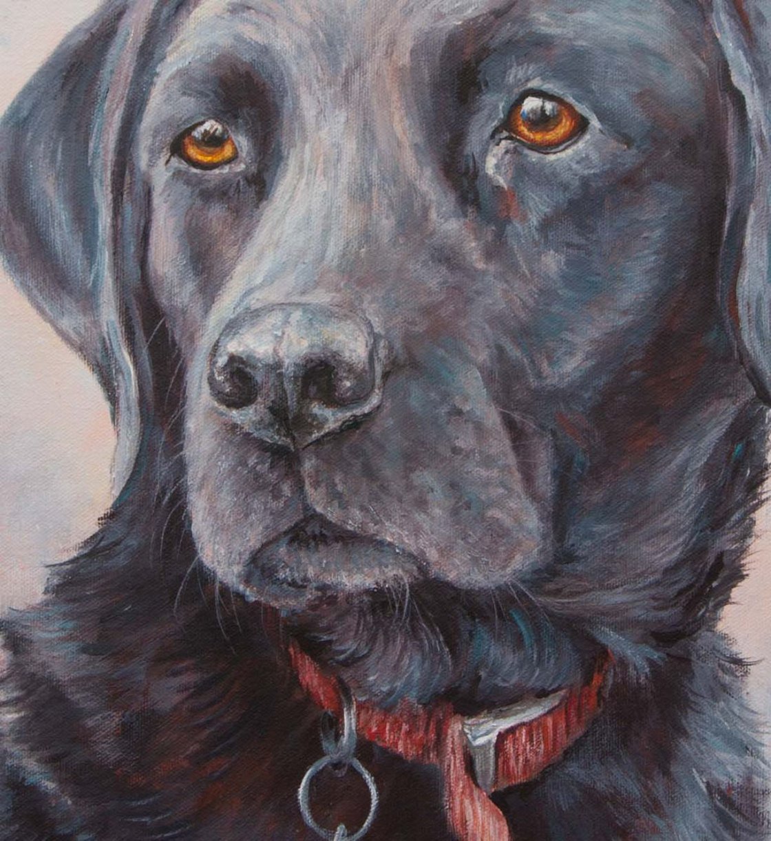 Black Lab Acrylic painting by Ruth Aslett | Artfinder