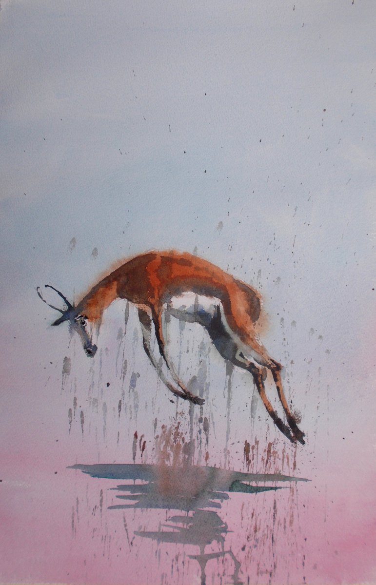 springbok Watercolour: Giorgio Gosti | Artfinder
