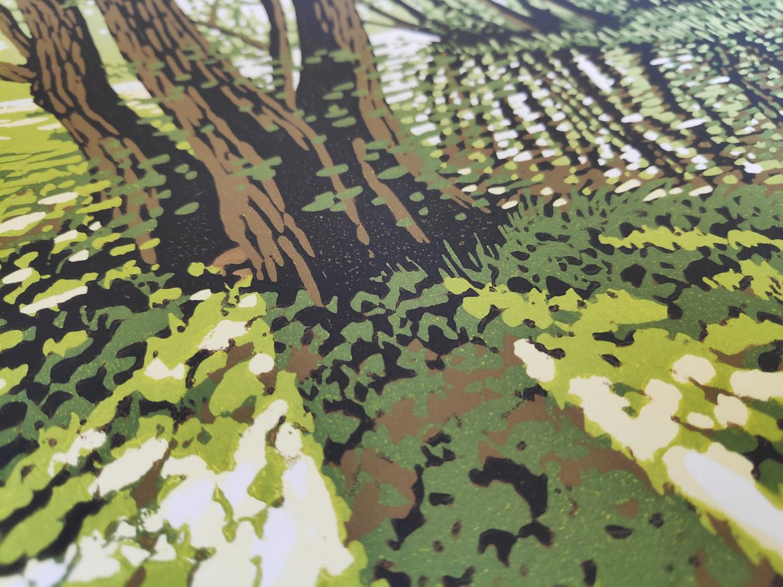 Trow Pool Sun Linocut: Alexandra Buckle | Artfinder