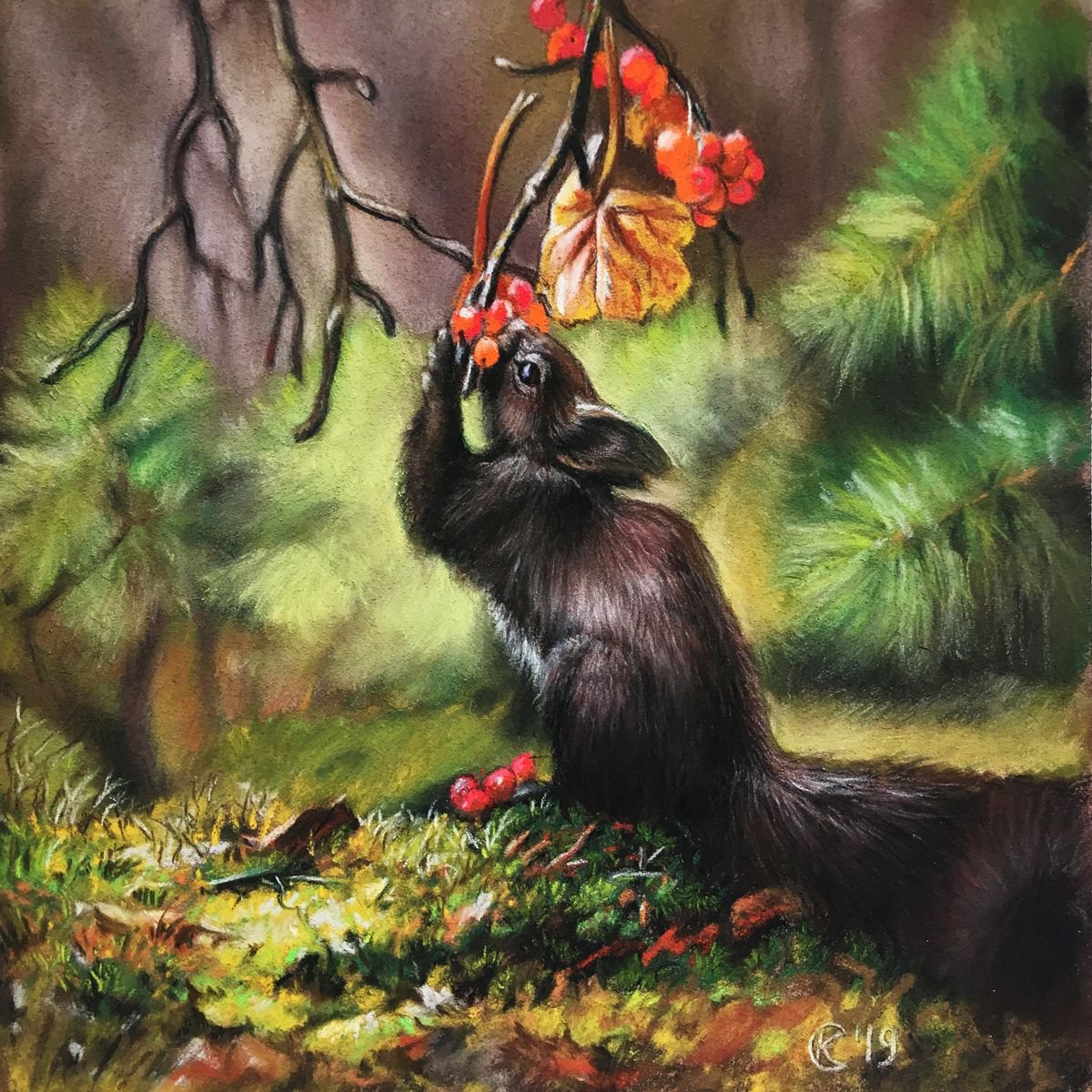 Squirrel Pastel drawing by Ekaterina Styazhkina | Artfinder
