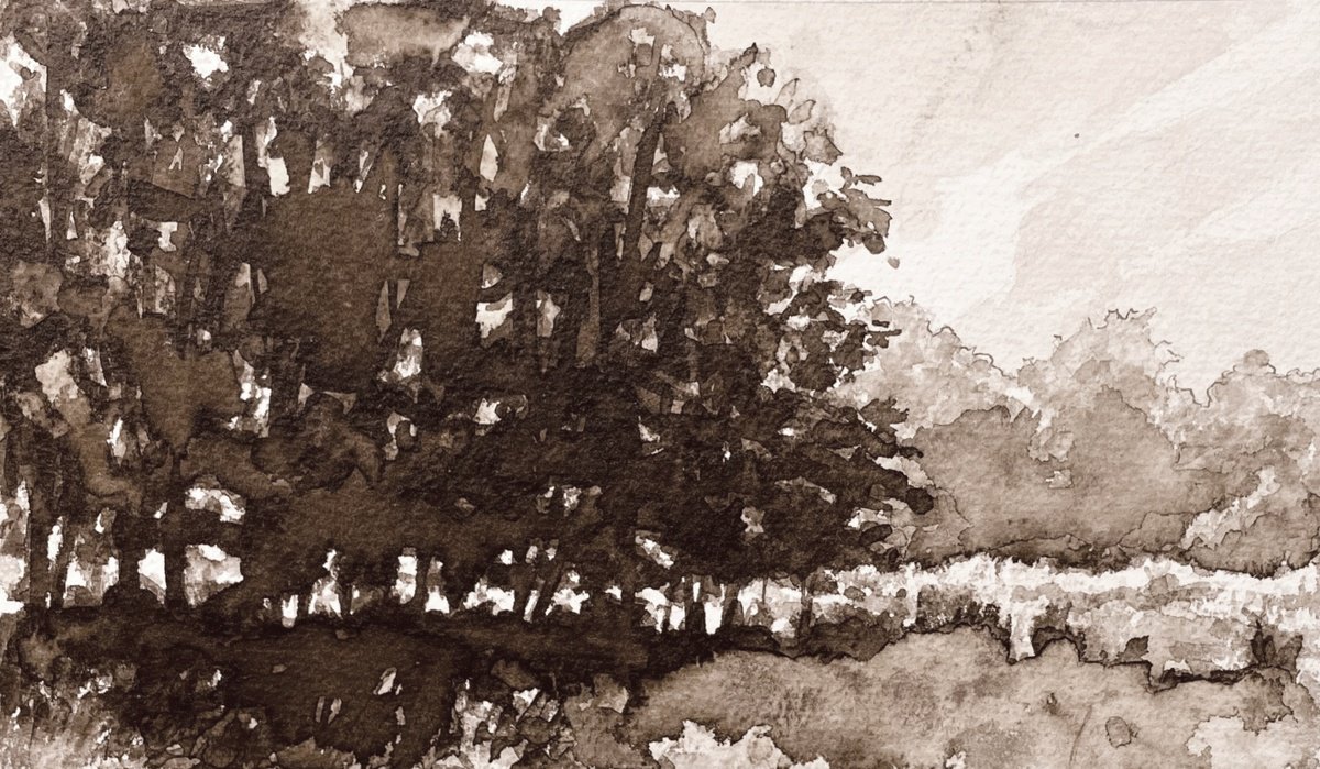 Treeline and Field Ink drawing: John Fleck | Artfinder
