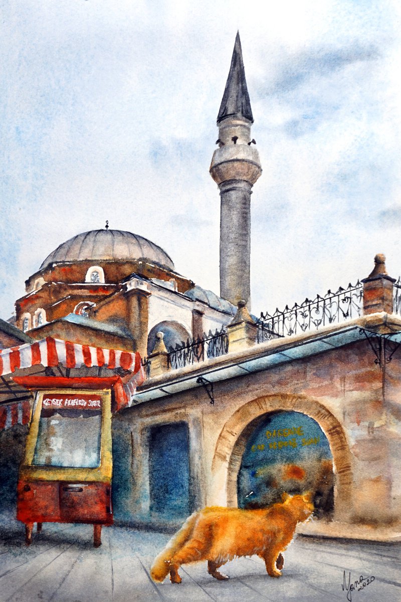 Cat on Streets of Izmir Watercolour by Yana Shvets | Artfinder