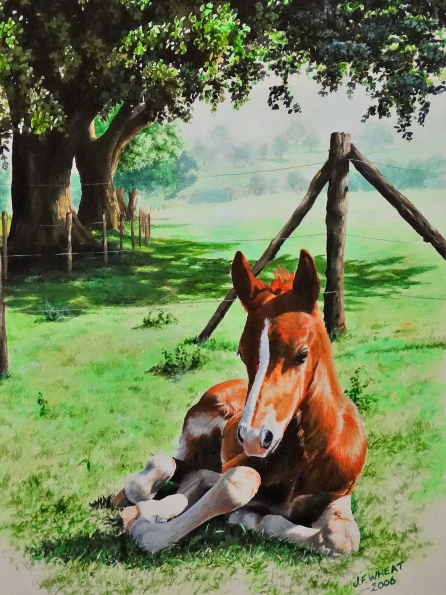 Spring Foal Acrylic painting by Julian Wheat | Artfinder