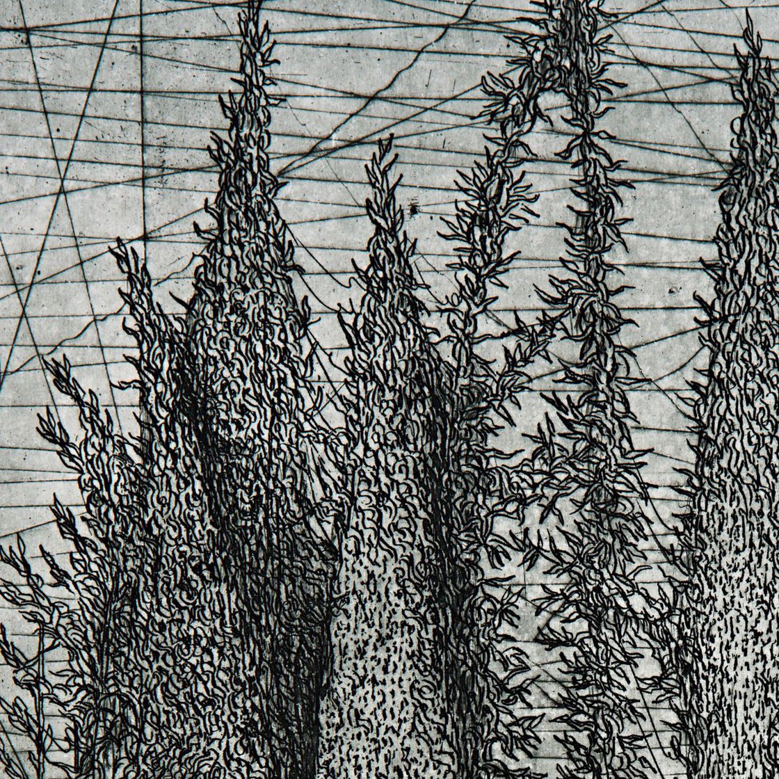 Metamorphosis II Etching / Engraving by Victor Savchenko | Artfinder