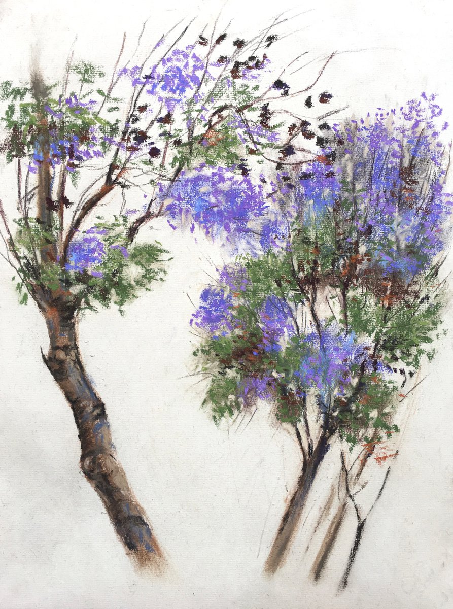 JACARANDA TREE Pastel drawing by Ksenia Lutsenko | Artfinder