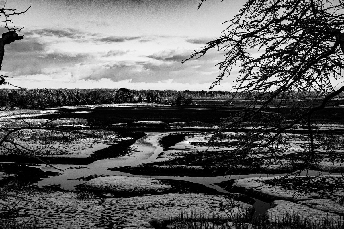 Silent Estuary Photograph: David Huntzinger | Artfinder