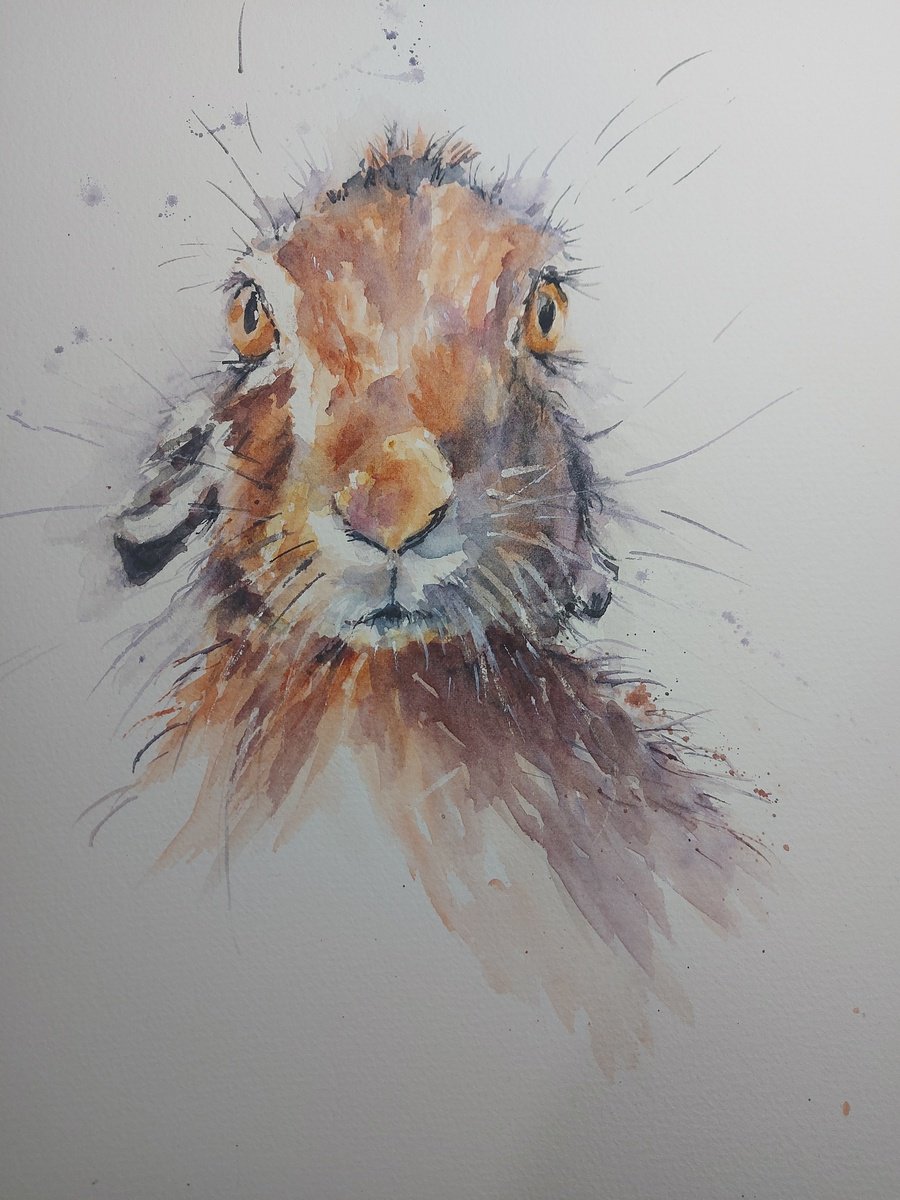 Hare in Watercolour Watercolour: Sue Green