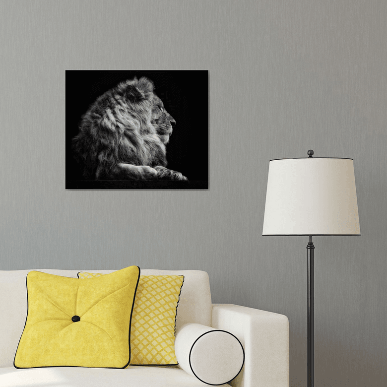 Lion relaxing Photograph: Paul Nash | Artfinder
