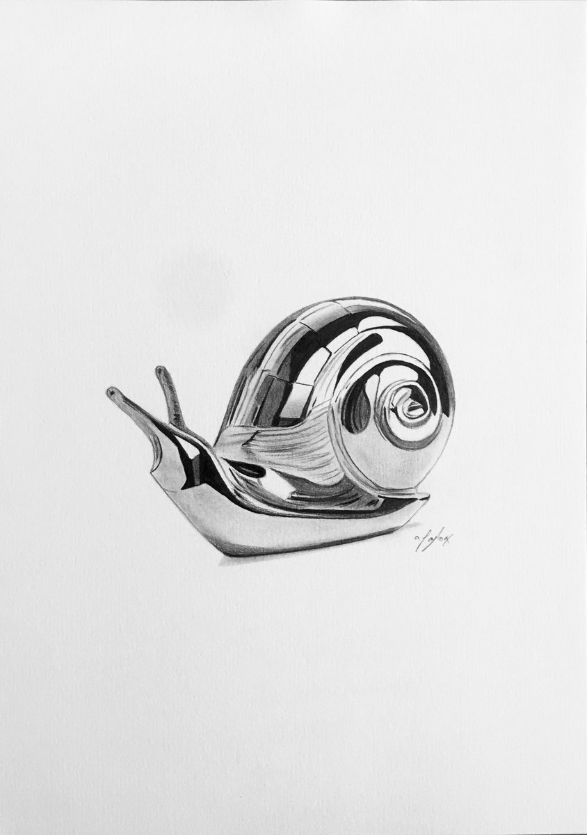 Shiny snail Pencil drawing by Amelia Taylor | Artfinder