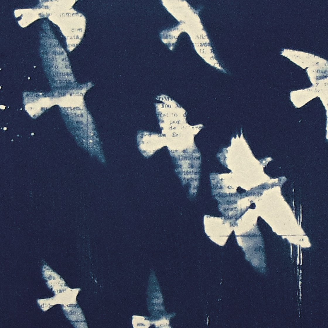Cyanotype_04_A3_Birds Print by Manel Villalonga | Artfinder