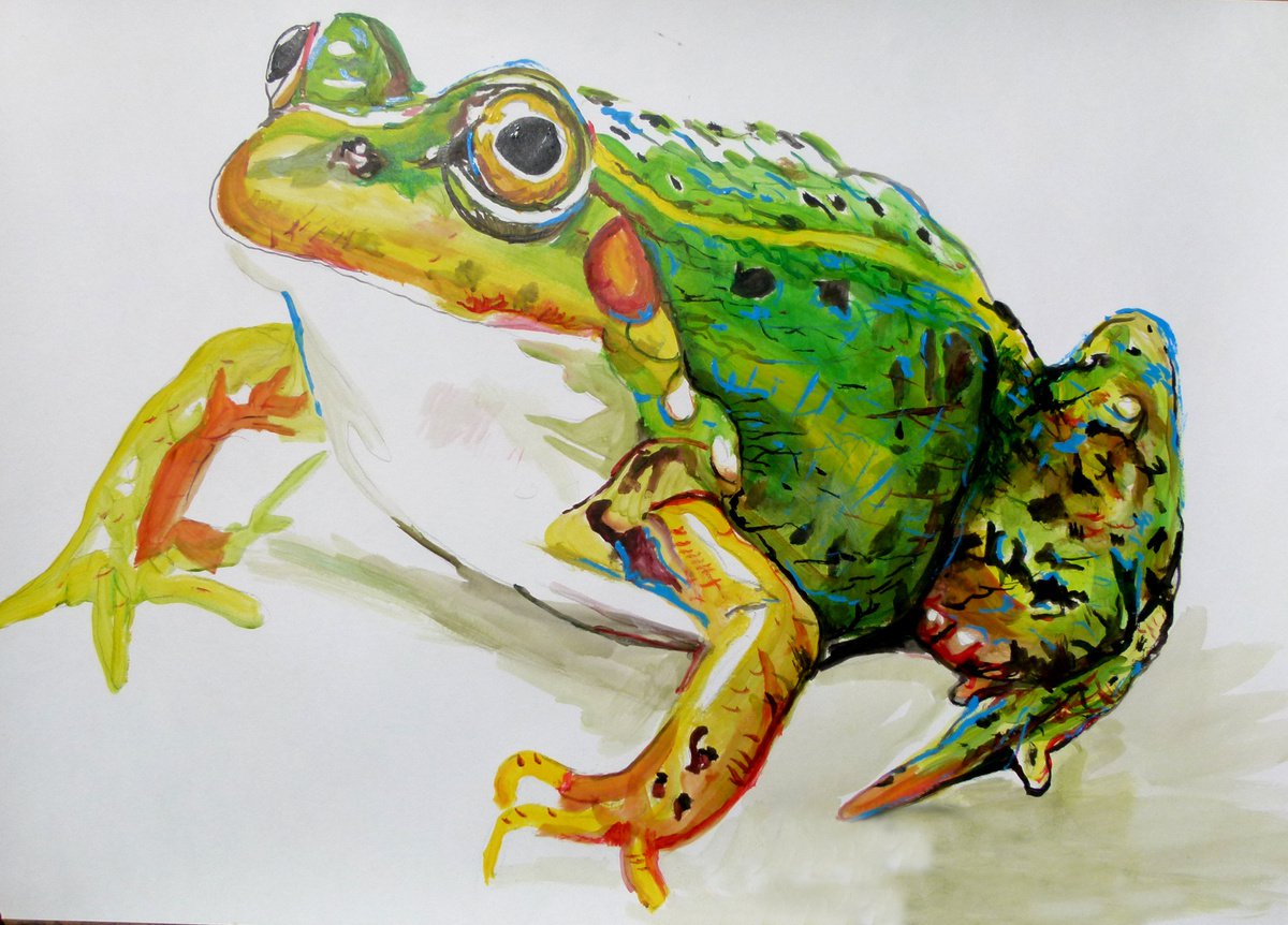 Frog Acrylic painting by soso kumsiashvili | Artfinder