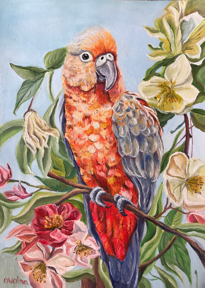 Orange parrot Oil painting by Olga Volna | Artfinder
