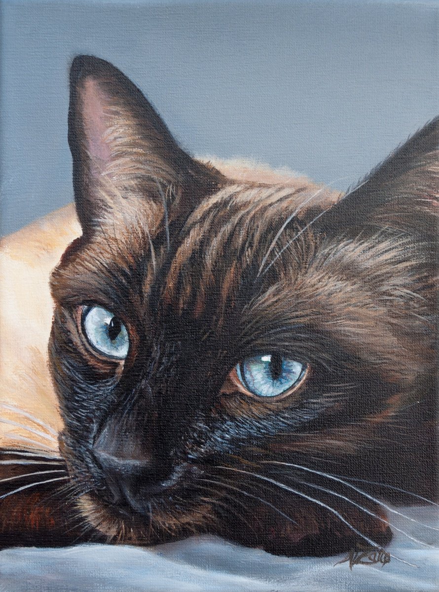 Siamese 4 Acrylic painting by Norma Beatriz Zaro | Artfinder