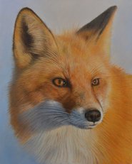 Animal and bird art | Artfinder