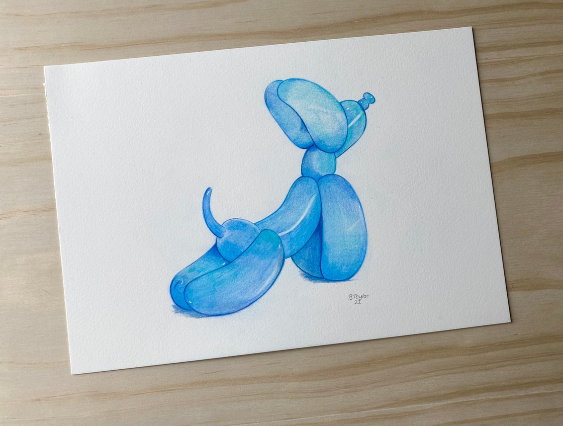 Blue balloon dog pencil drawing Pencil drawing: Bethany Taylor | Artfinder