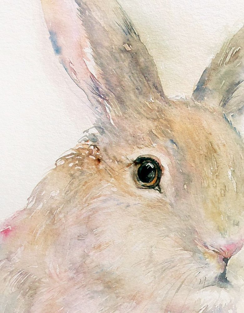 Cotton Candy Bunny Painting by Arti Chauhan | Artfinder