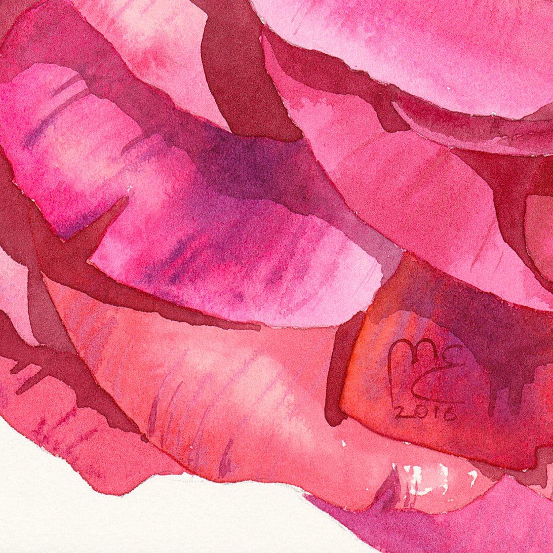 Bright pink Ranunculus flower Watercolour: Eleanor Mill | Artfinder