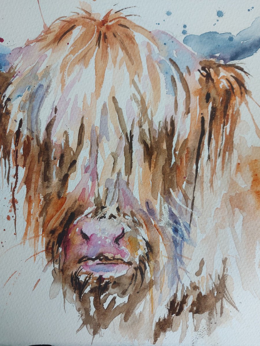 Highland cow Watercolour by Sue Green | Artfinder