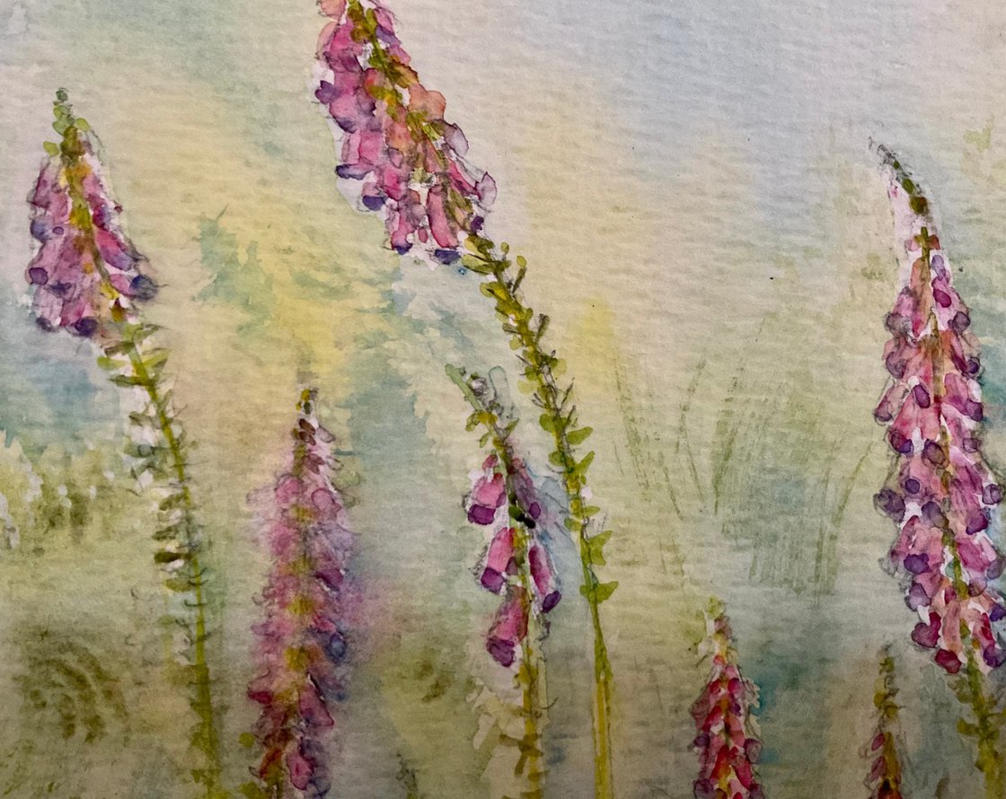 In the foxglove dell Watercolour: Samantha Adams | Artfinder