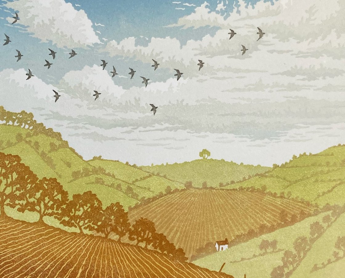 Devon Fields Linocut: Steve Manning | Artfinder