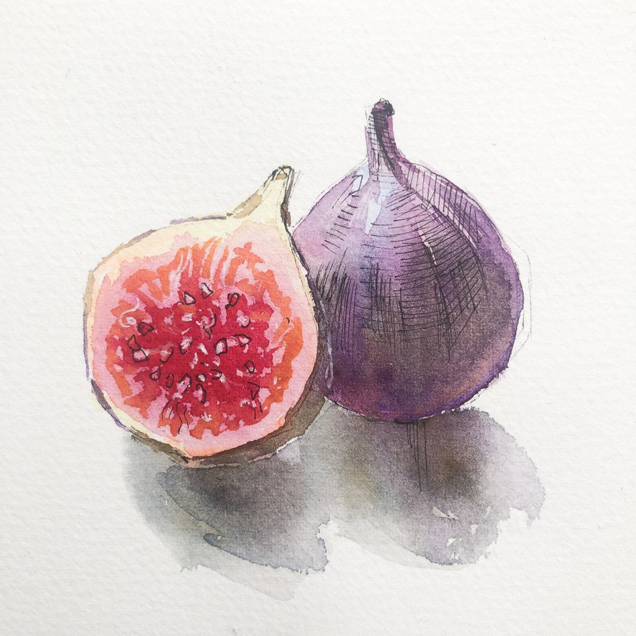 FIGS Watercolour by Nataliia Nosyk | Artfinder