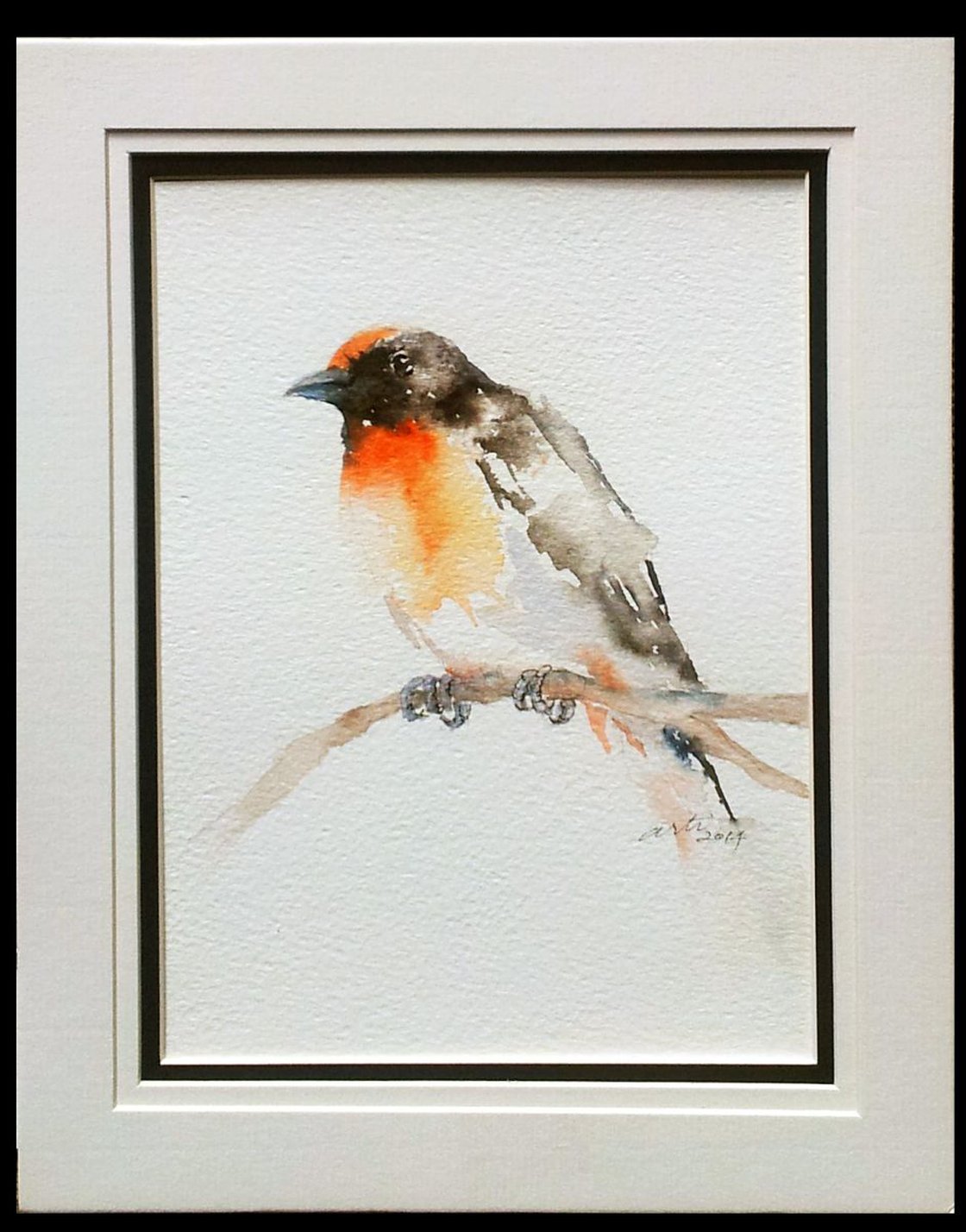 Red Capped Robin Painting by Arti Chauhan | Artfinder