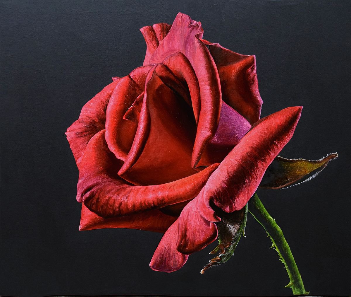 Rose - 50 x 60 cm, Ready to Hang / photorealism flower , hyperrealism ...