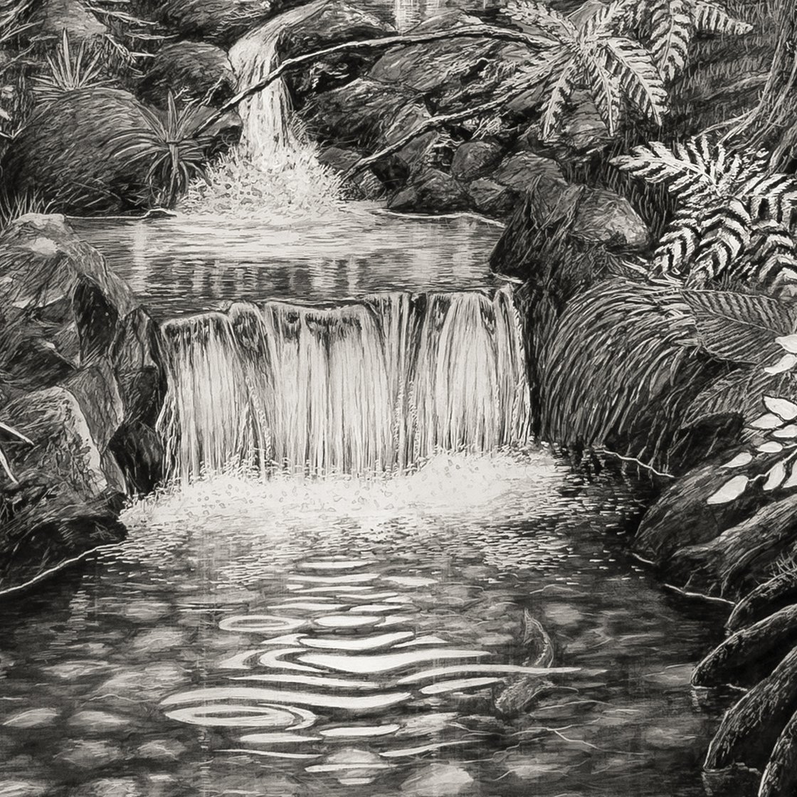 Forest Murmurs Ink drawing by Graham McKenzie-Smith | Artfinder