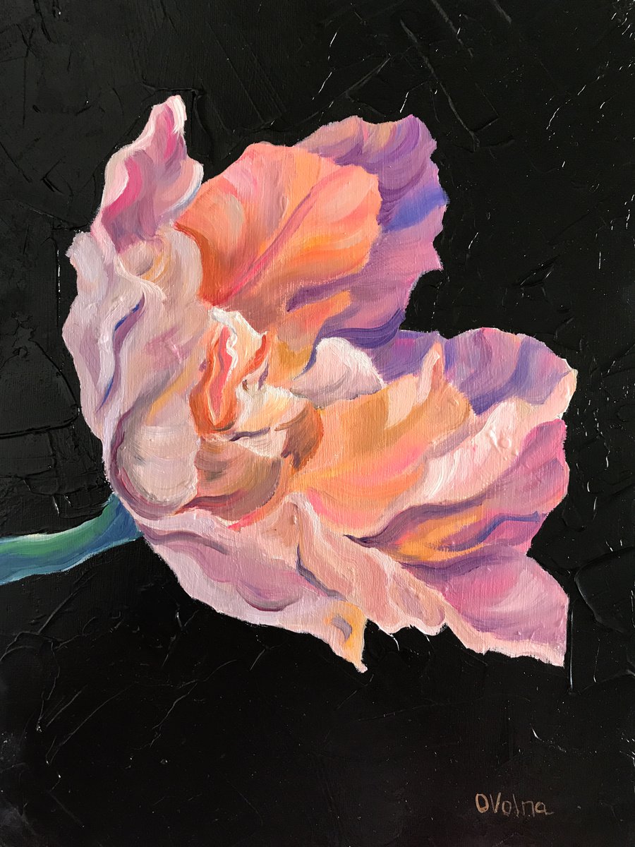 Olga Volna Original Art Works